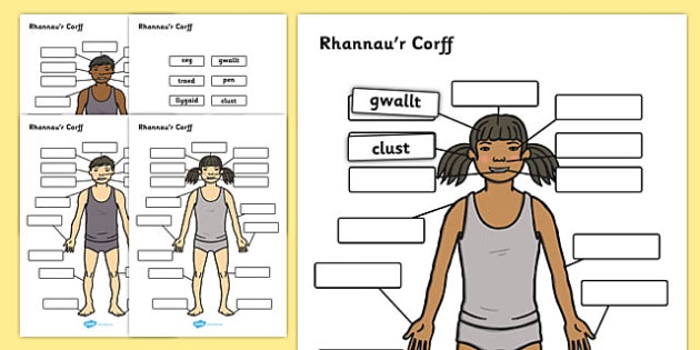 Rhannau'r Corff Labelling Activity Welsh (teacher made)