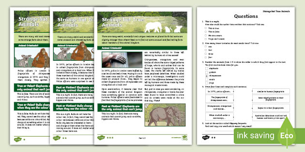 LKS2 Strange but True: Animals Differentiated Reading Comprehension ...