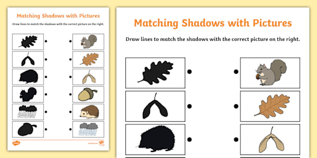Shadow Worksheets Fall Shadow Matching Worksheet
