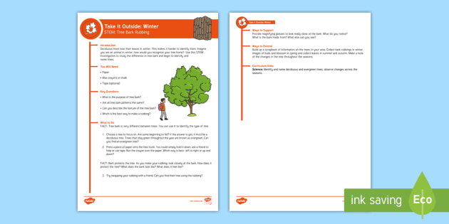 KS1 STEM Tree Bark Rubbing Worksheet (teacher made)