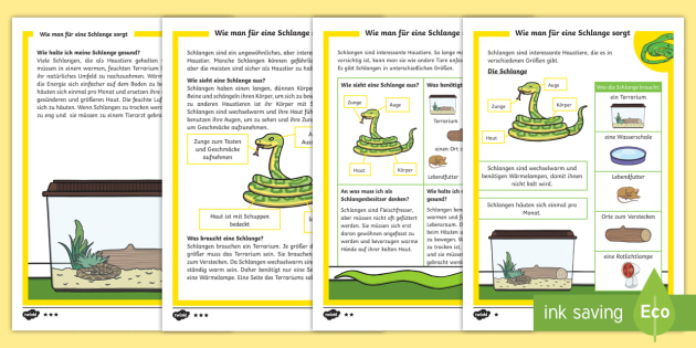 Wie man für eine Schlange sorgt Informationstext