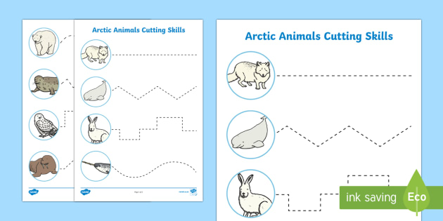 Arctic Animal Themed Cutting Skills Activity (teacher made)
