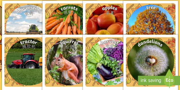 Autumn Display Photo Cut-Outs English/Mandarin Chinese - Autumn Display ...