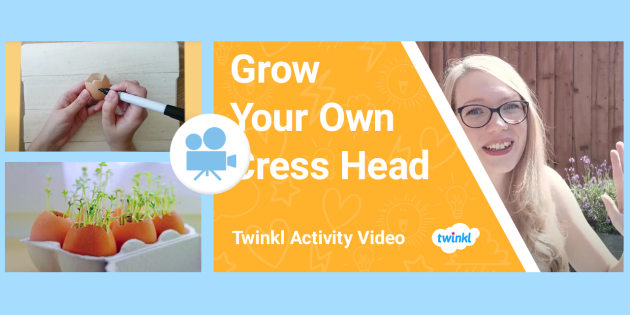 FREE! - KS1 (Ages 5-7) Activity Video: Grow Your Own Cress Head