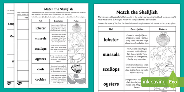 Match the Shellfish to the Description (Teacher-Made)