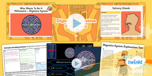 Digestive System Functions - Digestion Lesson Plan Year 4
