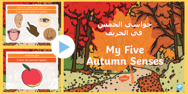 My Five Autumn Senses PowerPoint Arabic/English