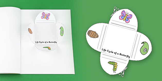 Butterfly Life Cycle Interactive Visual Aid (teacher made)