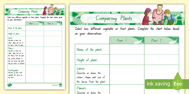 Comparing Plants Activity (teacher made)