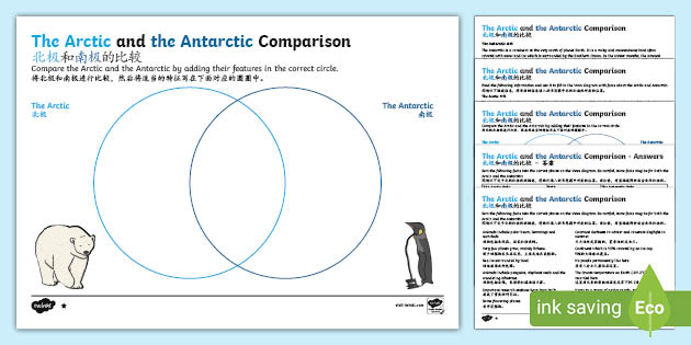 Arctic and Antarctic Comparison Activity - English/Mandarin Chinese