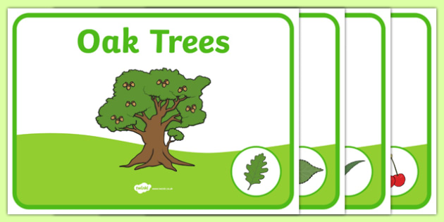 Editable Class Group Signs (Trees) - Tree, trees, group labels, group table