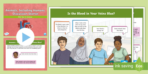 Year 6 Animals, Including Humans Science Discussion Starter