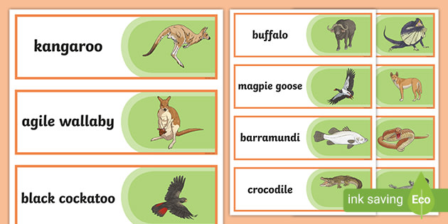 Animals of the Northern Territory Word Cards (teacher made)