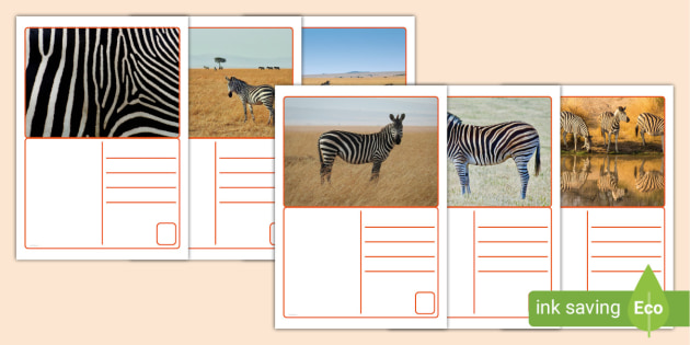 FREE! - Zebra Themed Postcards (teacher made)