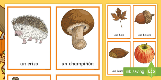 Autumn Flashcards Spanish (teacher made)