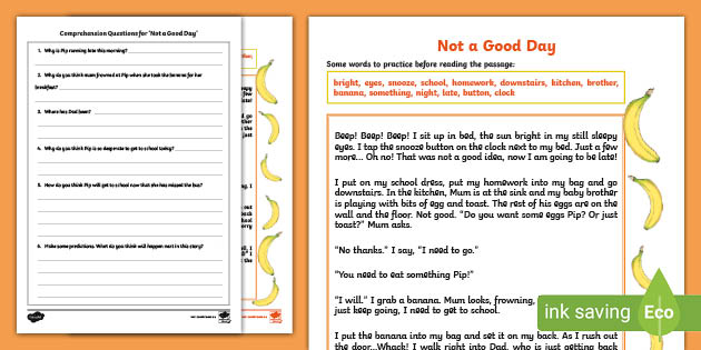 Decodable Text with Comprehension Questions - Not a Good Day