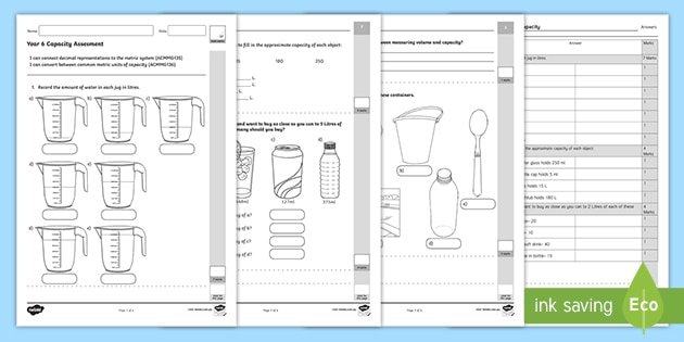 Year 6 Capacity Assessment Sheet (teacher made)