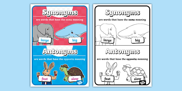 Nice Synonym Poster Said Synonyms Poster | Teach Starter