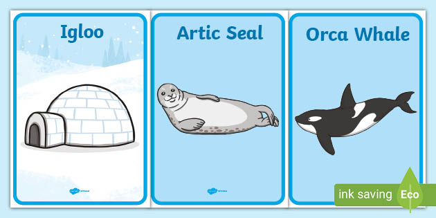 Large Arctic Display Posters (teacher made)
