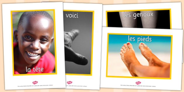 French My Body Display Photos (teacher made)