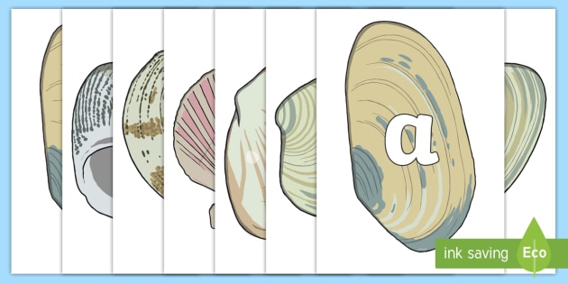 A-Z Alphabet on Sea Shells (teacher made)