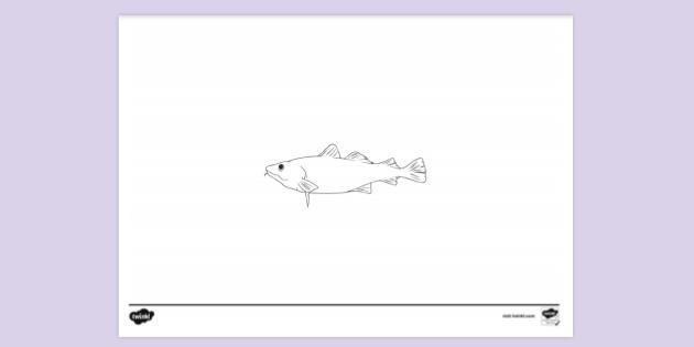 Cod Fish Colouring | Colouring Sheet (teacher made)