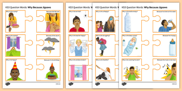 KS3 Why Because Jigsaw