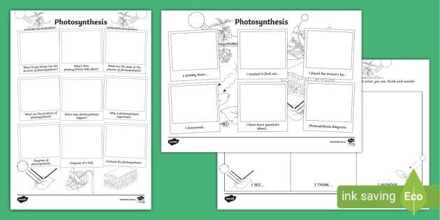 Photosynthesis Snapshots Writing Frames (teacher made)
