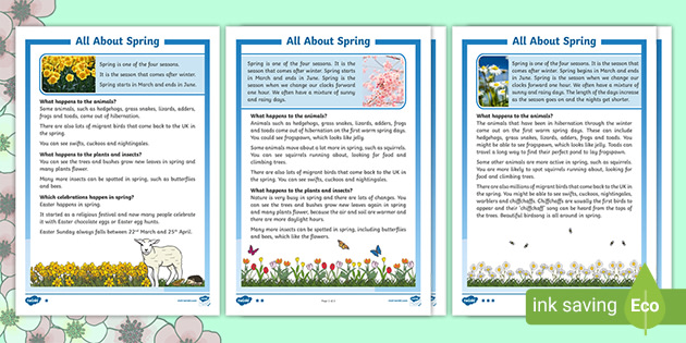 Spring Differentiated Reading Comprehension Worksheets - Twinkl