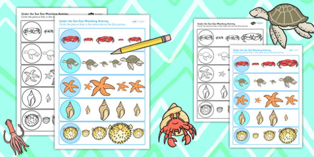 Under the Sea Differentiated Size Matching Worksheets - sizes