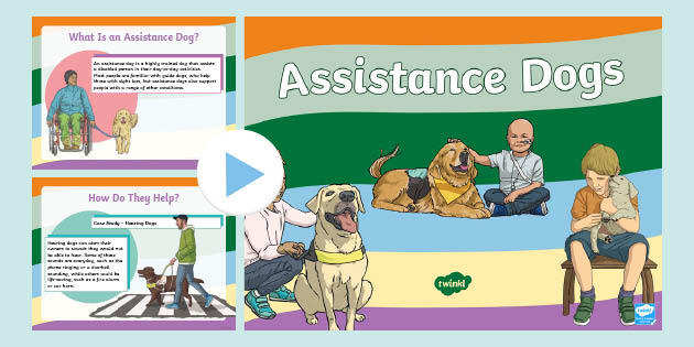Assistance Dogs PowerPoint (teacher made)