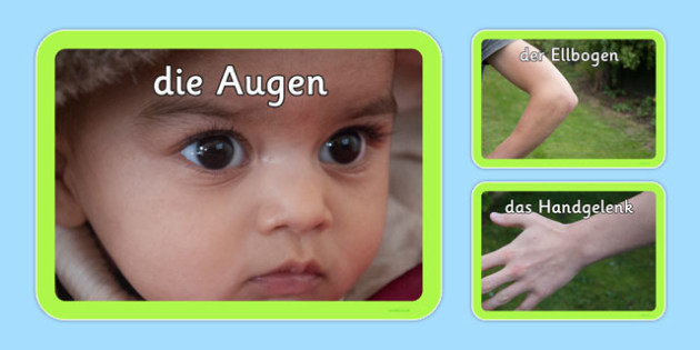 Parts of the Body Photo Pack German