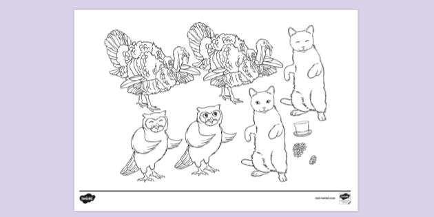 Owl Pussycat Standing Cat Turkey Flowers | Colouring Sheets