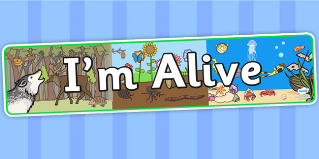 Im Alive Display Banner