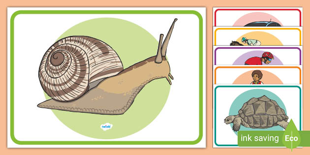 FREE! - Slowest To Fastest Ordering Sheets (teacher made)