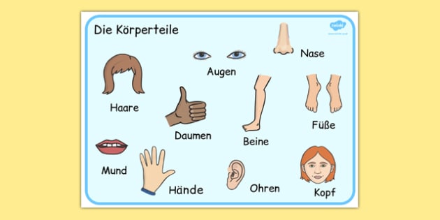 Teilen Des Körpers Wortmatte German German Body Parts Mat