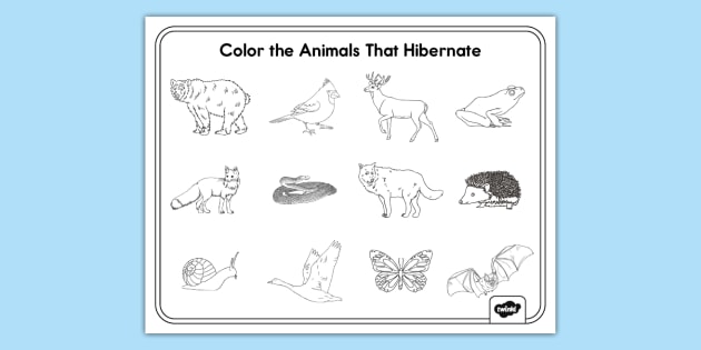 free hibernating animals coloring pages