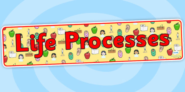 Life processes - References