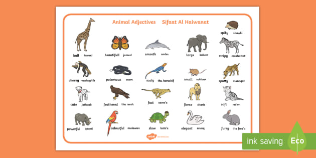 Animal Adjectives Word Mats | twinkl.com.au
