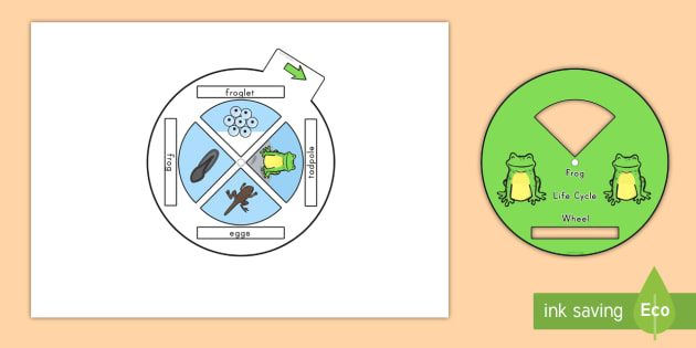 Frog Life Cycle Spin Wheel Cut-Outs - frog, life cycle, cut outs, spin ...