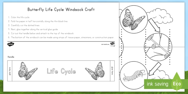 Butterfly Life Cycle Windsock Craft (teacher made)