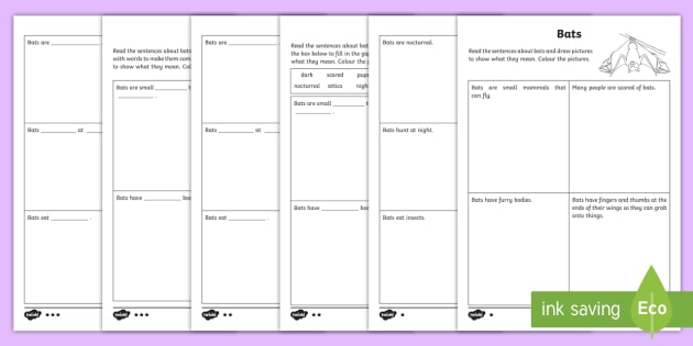 Bats Read and Draw Differentiated Worksheet / Worksheets