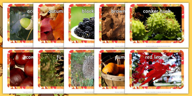 Autumn Display Photos (creat de profesori)