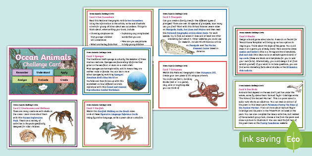 Ocean Animals Challenge Cards (teacher made)