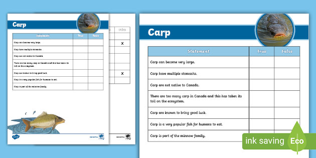 Carp True or False Activity (teacher made)