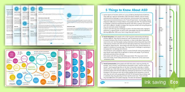 SEN Information Guide Resource Pack (teacher made)