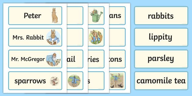 The Tale of Peter Rabbit Word Cards (teacher made)