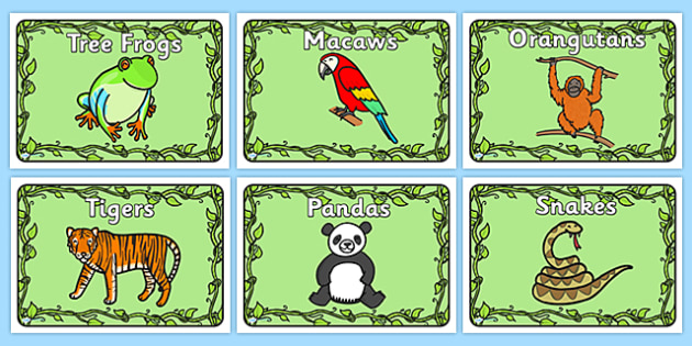 Editable Group Names (Jungle & Rainforest) - Group signs, group labels ...