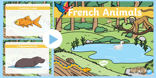 French Animals PowerPoint (teacher made)