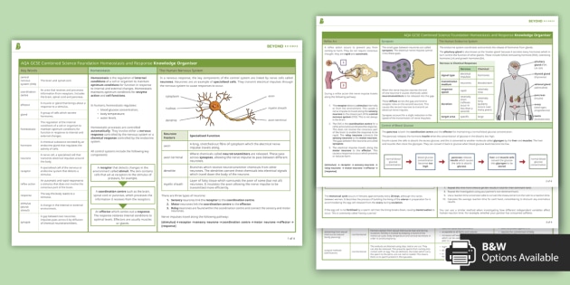 Homeostasis Knowledge Organiser | AQA Science | Beyond